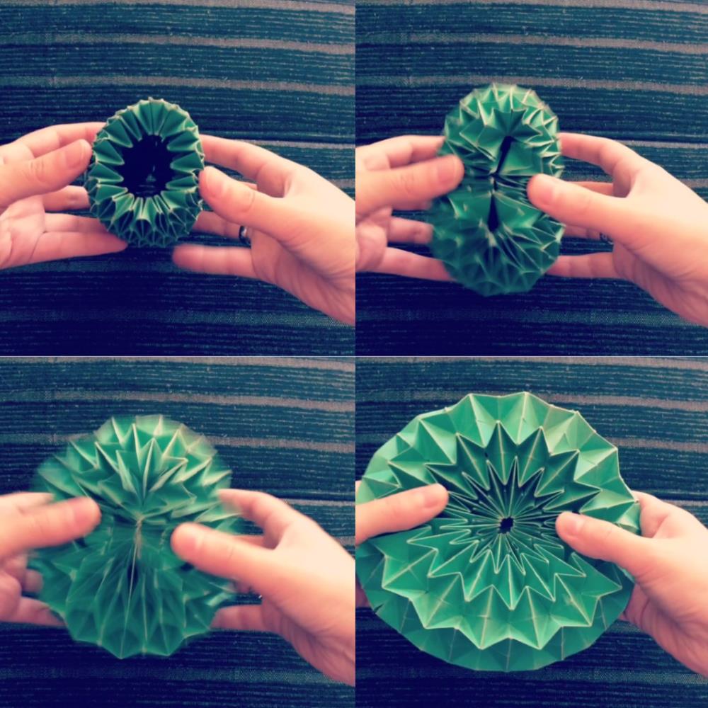 Jornal da Unesp | Pesquisadora da Unesp se inspira em conceitos do ...