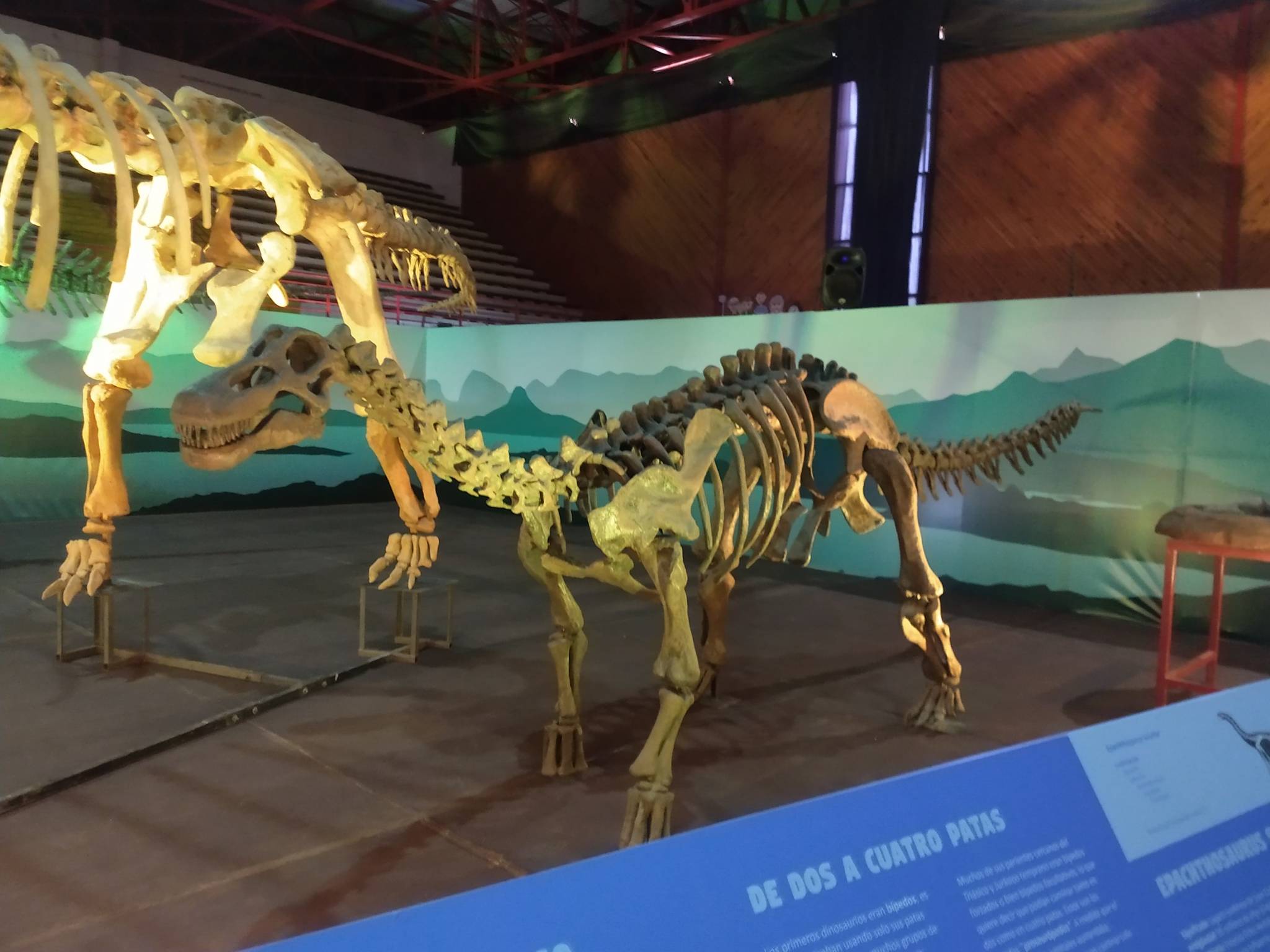 Jornal da Unesp | Dinossauros de pescoço longo eram capazes de se ...